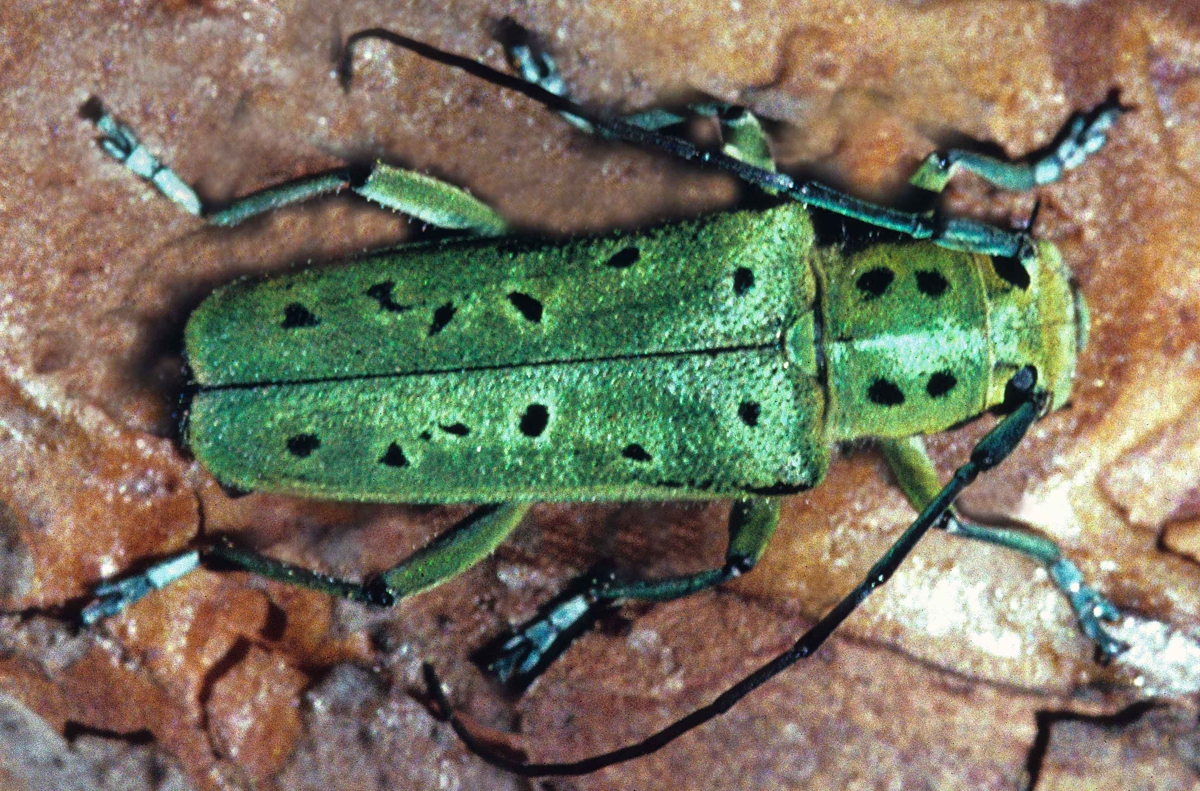 Naturschutz und Denkmalpflege