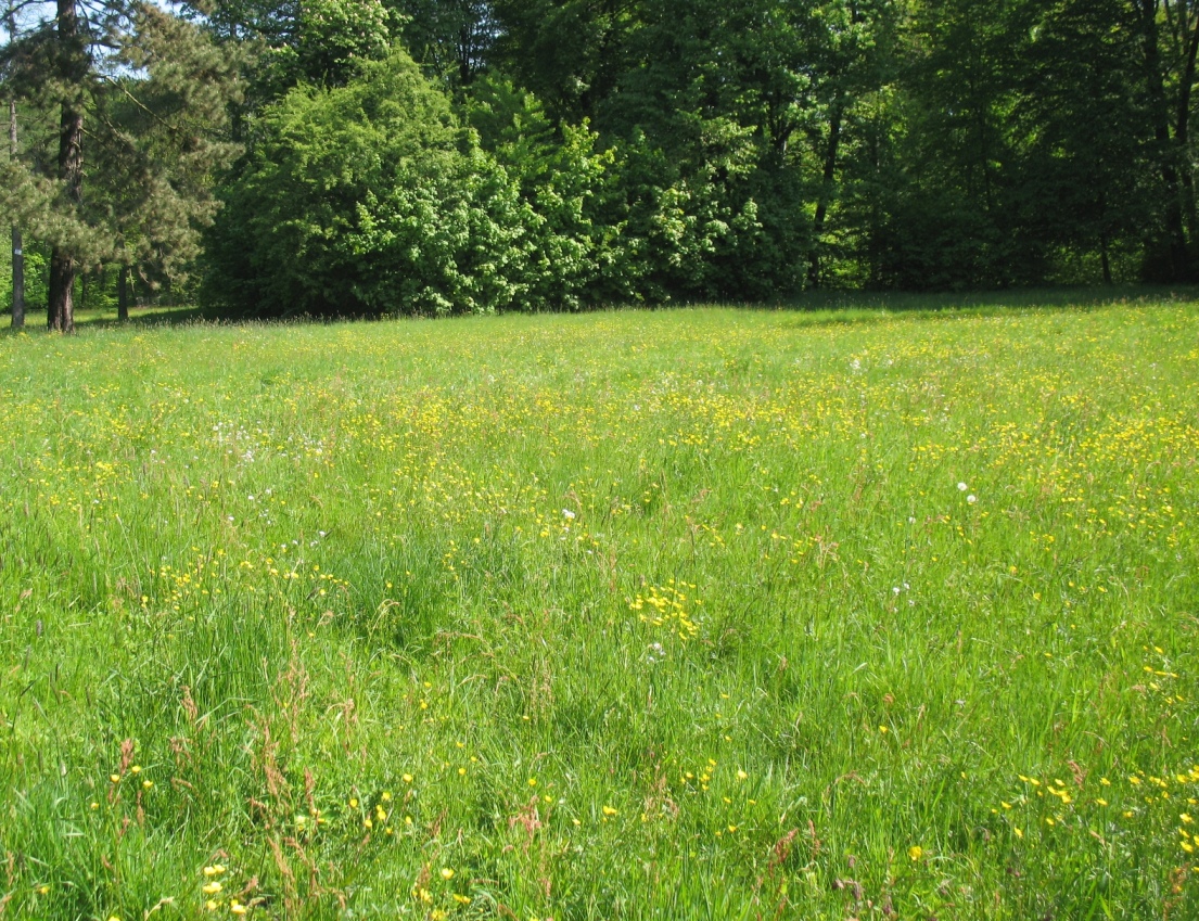 Naturschutz und Denkmalpflege