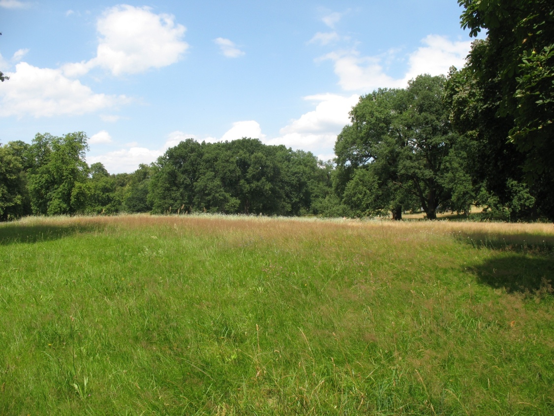 Naturschutz und Denkmalpflege