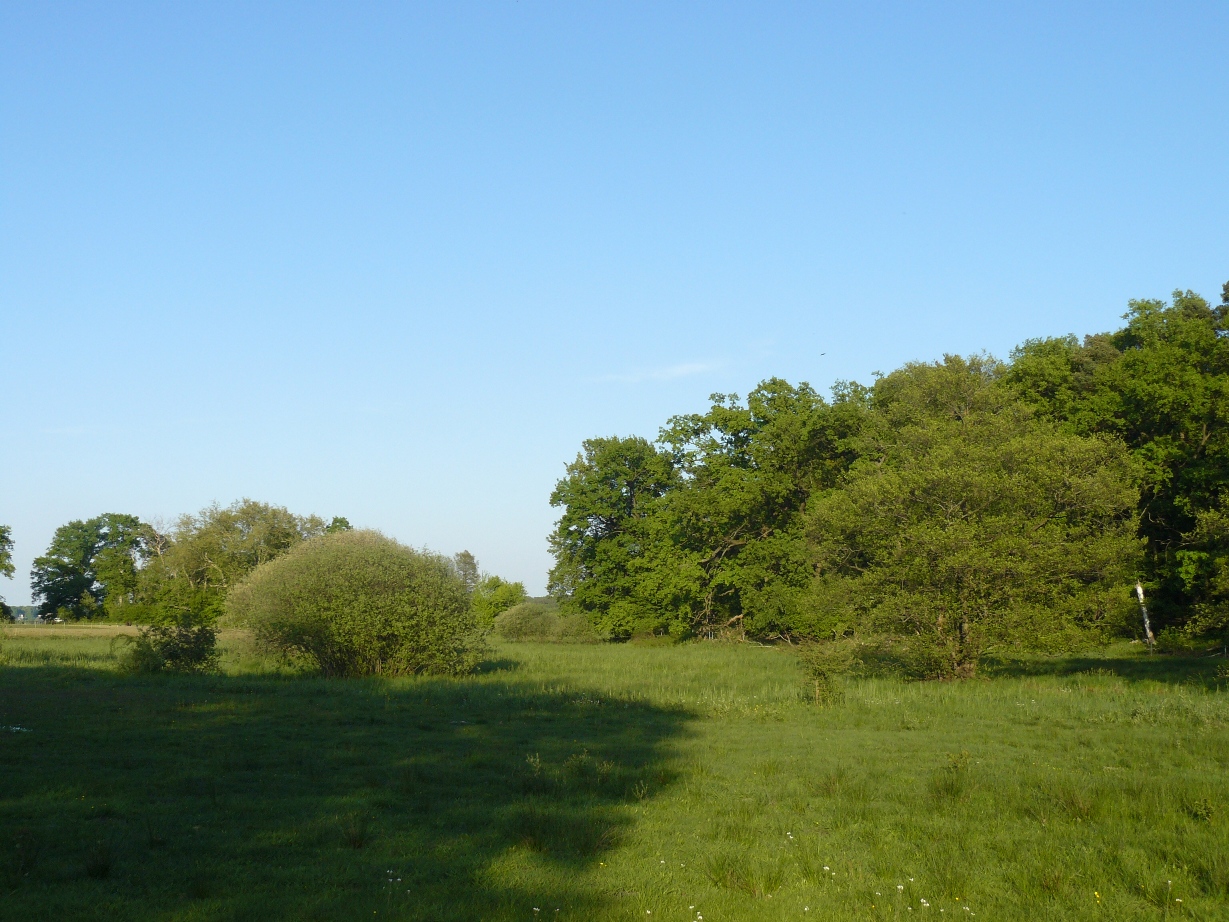 Naturschutz und Denkmalpflege