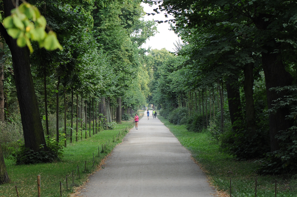 Naturschutz und Denkmalpflege