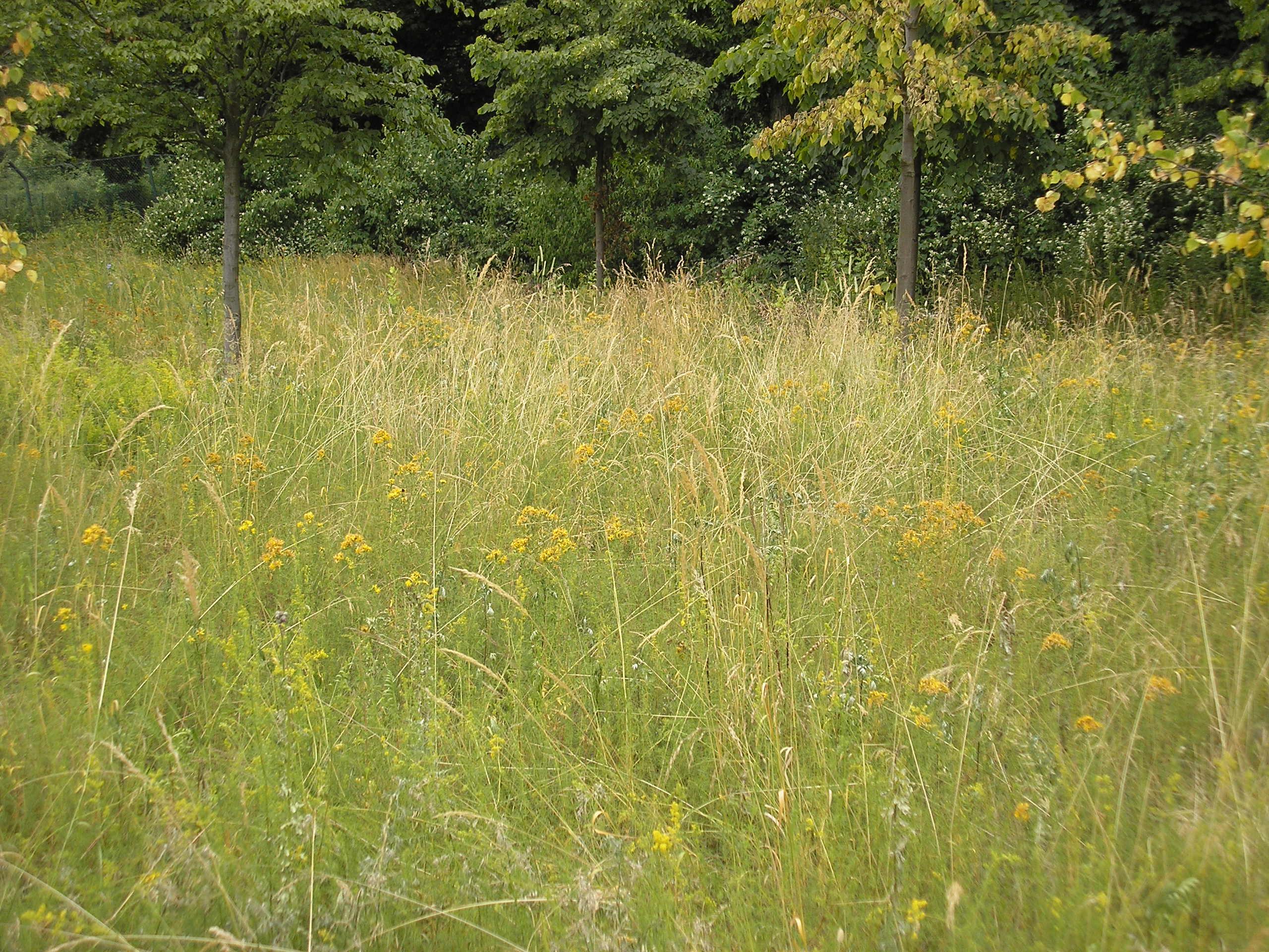 Naturschutz und Denkmalpflege
