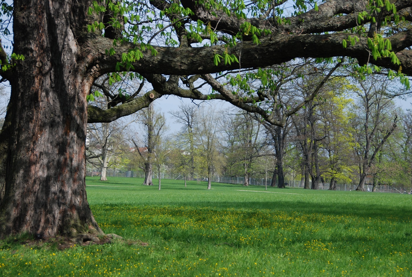 Frühlingsaspekt im Rosensteinpark © M. Sonnenfroh